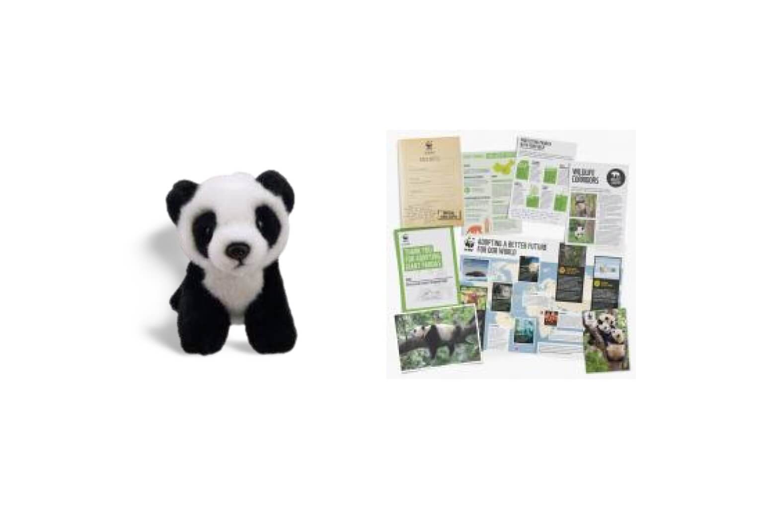 Adopt a Panda - Charity Gifts